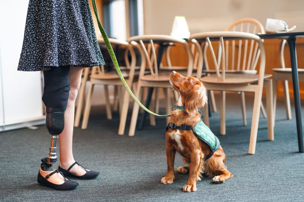 Supporting employees with guide dogs, assistance animals and emotional ...